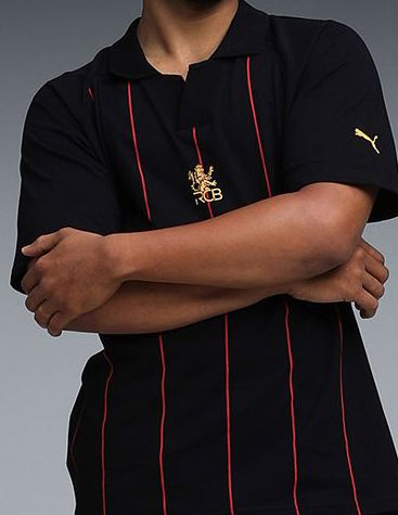 Buy Puma X RCB Men's Striper Polo T Shirt - Tshirts for Men 35833931 ...