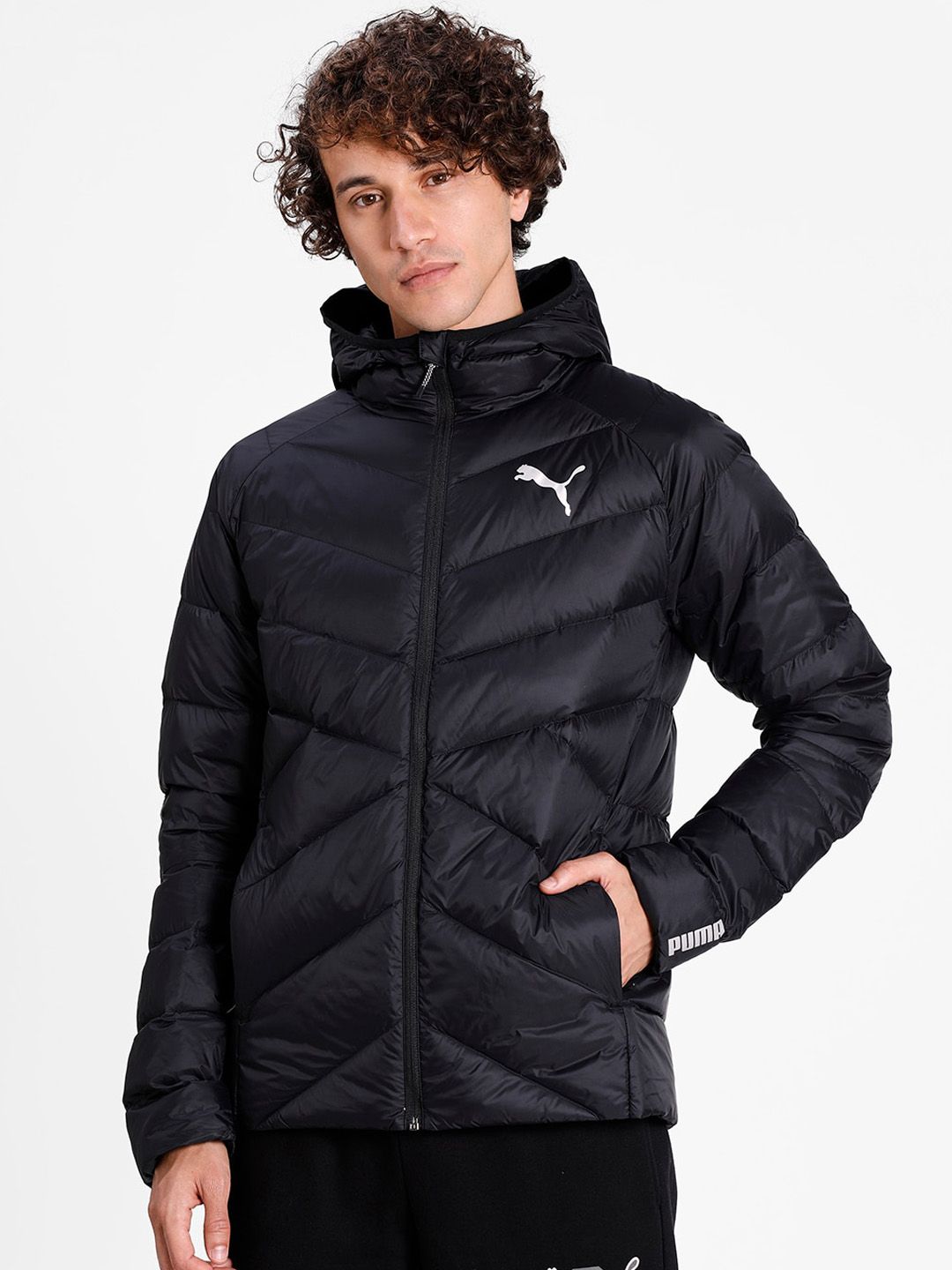 Puma Men Black Solid Padded Jacket - Price History