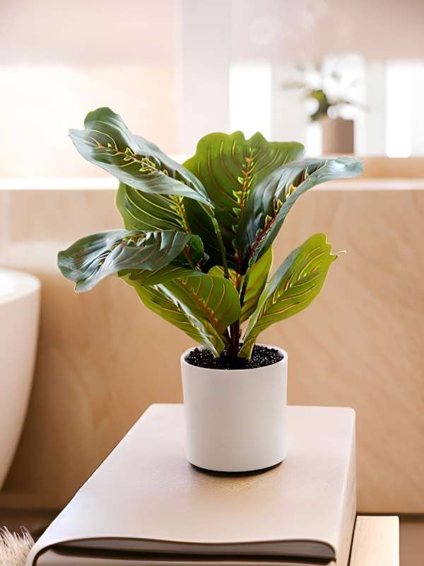 Artificial plants online store