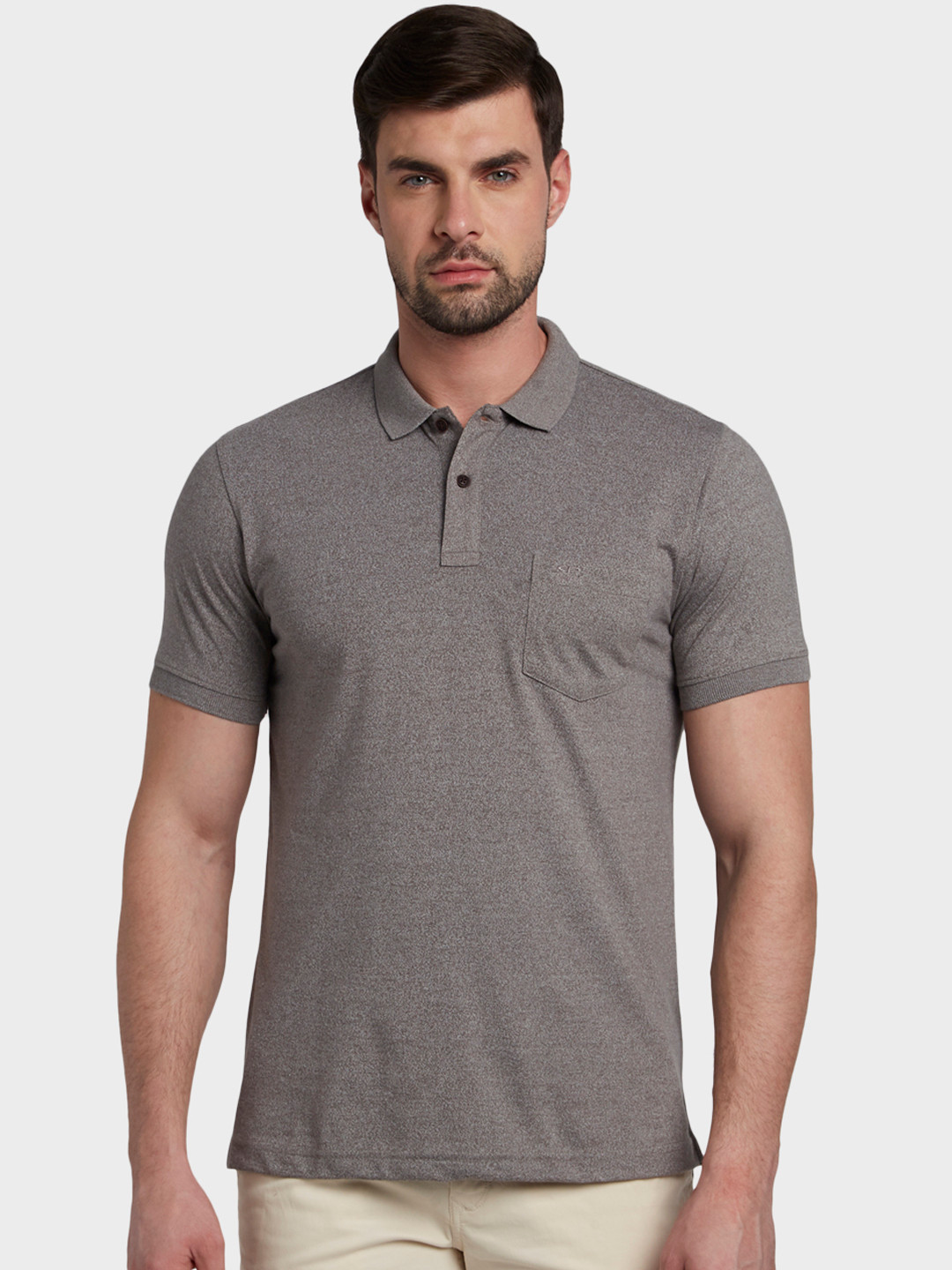 Buy ColorPlus Men Grey Solid Polo Collar T Shirt - Tshirts for Men ...