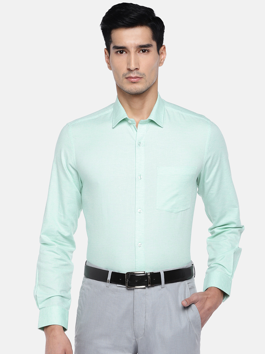 Buy Turtle Men Green Relaxed Slim Fit Solid Formal Shirt - Shirts for ...