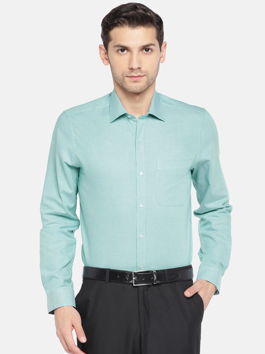 Buy Turtle Men Green Relaxed Slim Fit Solid Formal Shirt - Shirts for ...
