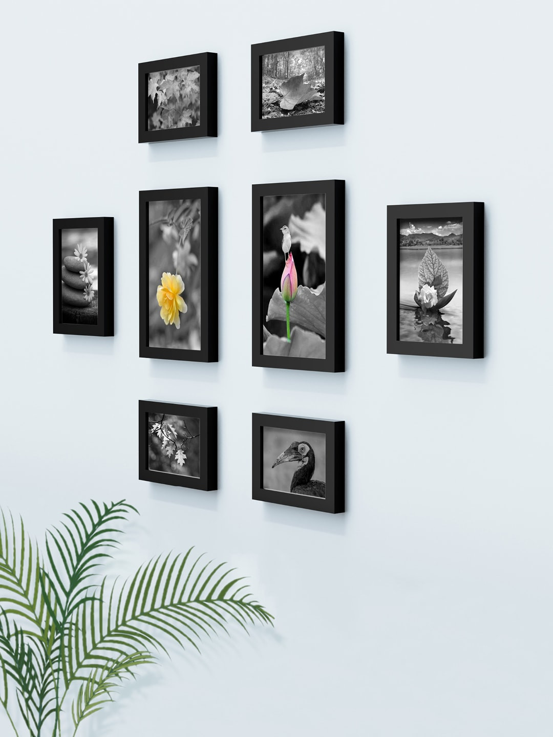 Buy RANDOM Set Of 8 Black Solid Collage Photo Frames - Photo Frames for ...
