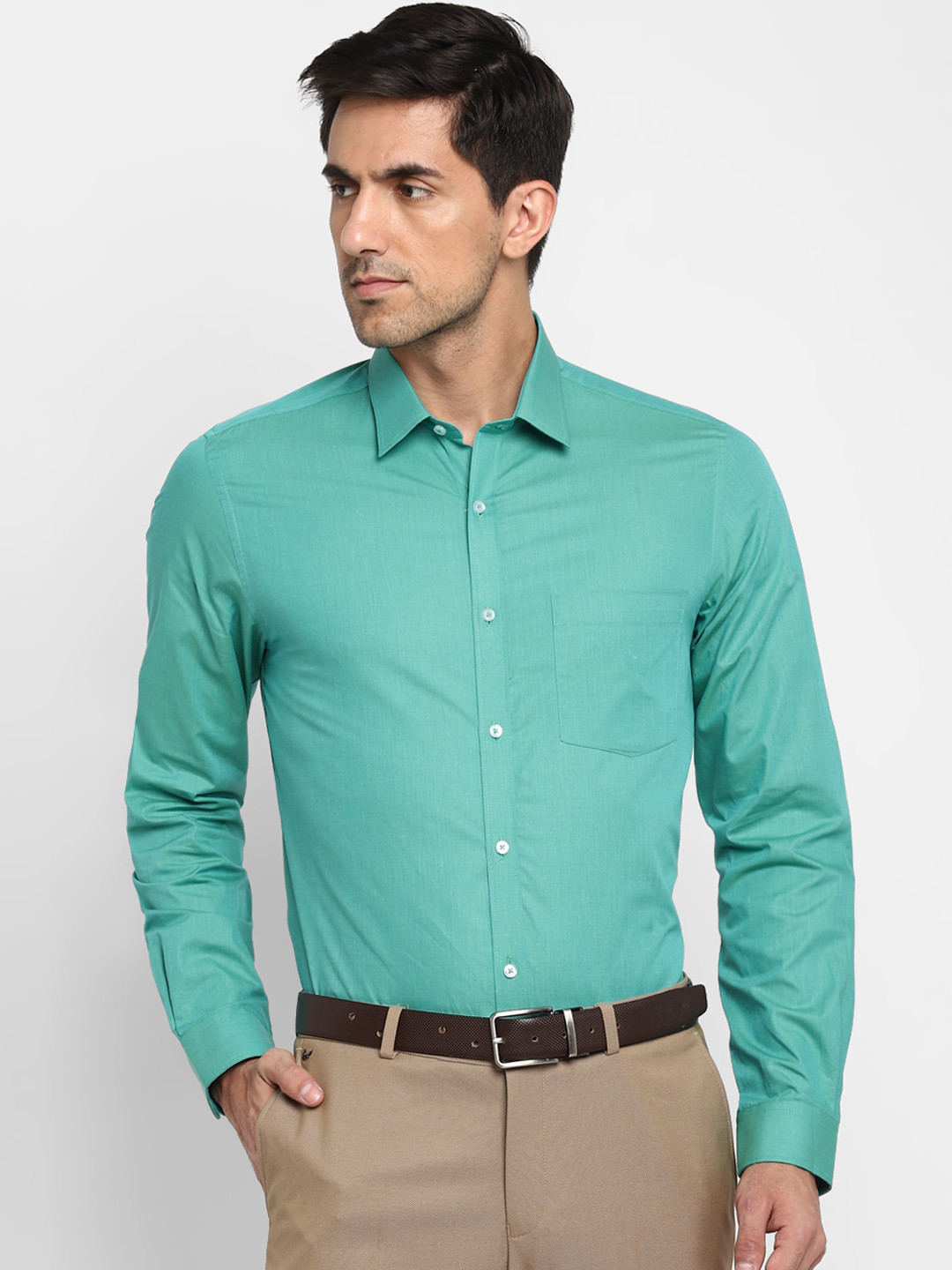 Buy Turtle Men Green Slim Fit Opaque Formal Shirt - Shirts for Men ...
