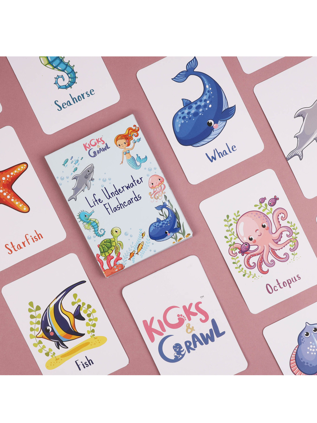 Buy KICKS & CRAWL White Life Underwater Flashcards - Learning And ...
