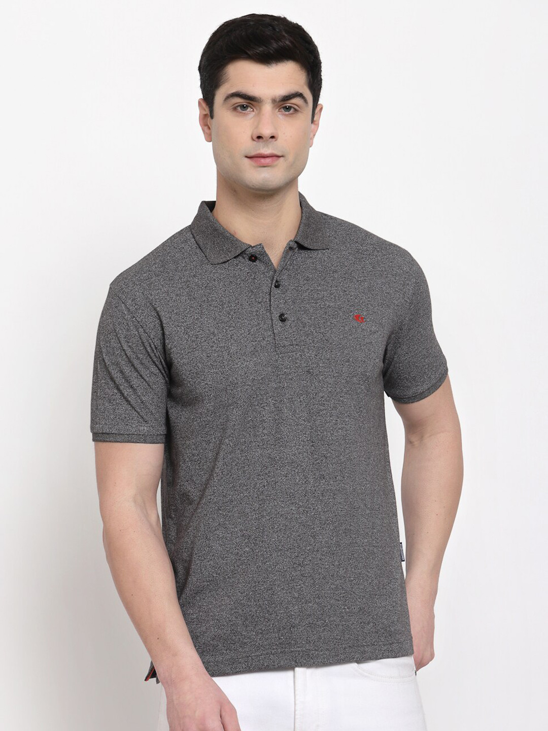 Buy Allen Cooper Men Grey Solid Polo Collar Regular Fit T Shirt ...