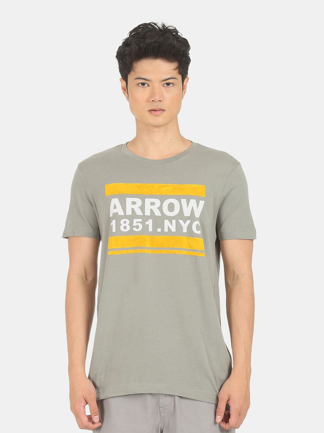 Buy Arrow Men Grey Brand Logo Printed Regular Fit Pure Cotton T Shirt ...