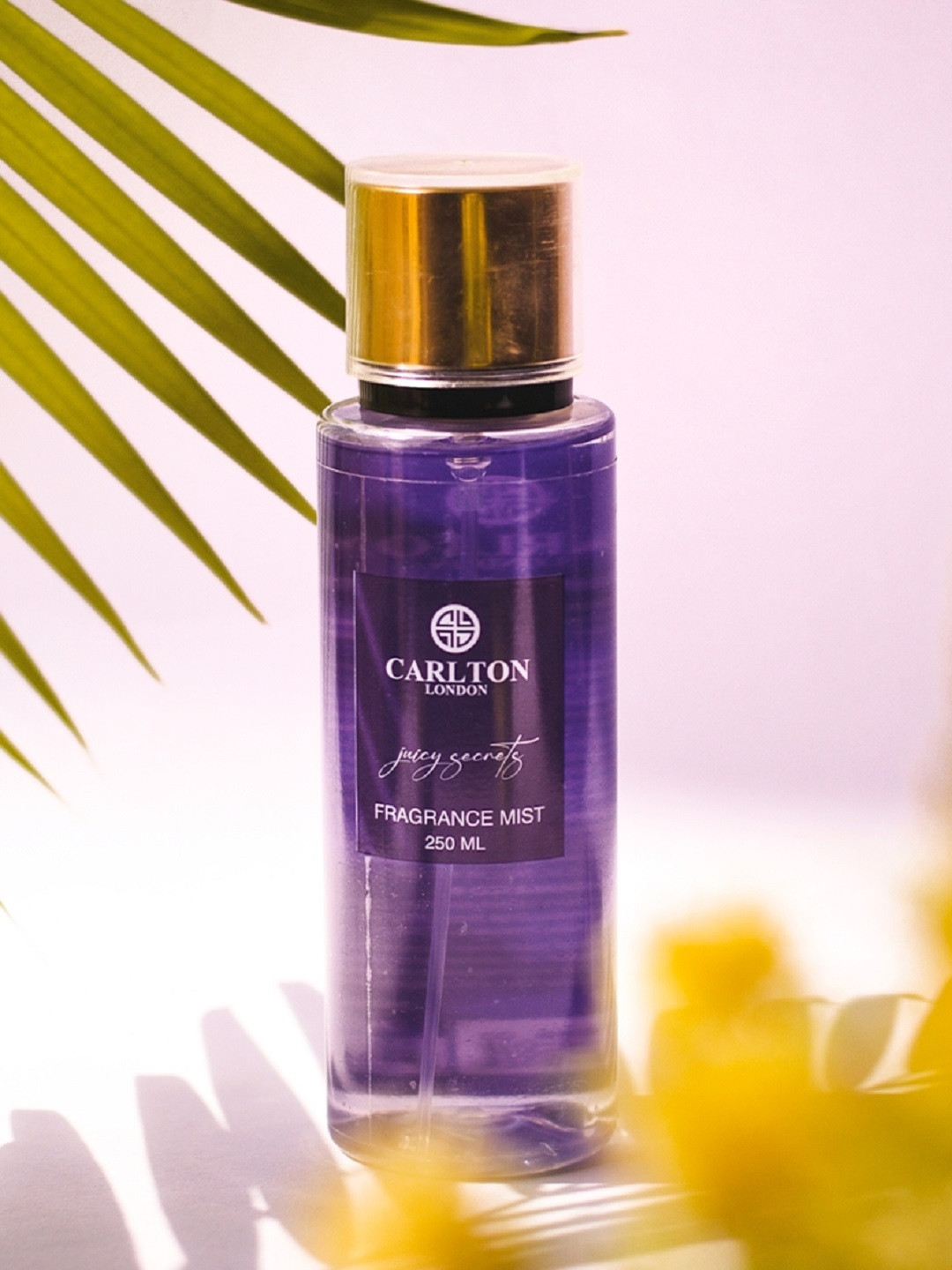 Buy Carlton London Women Juicy Secrets Fragrance Body Mist 250ml - Body ...