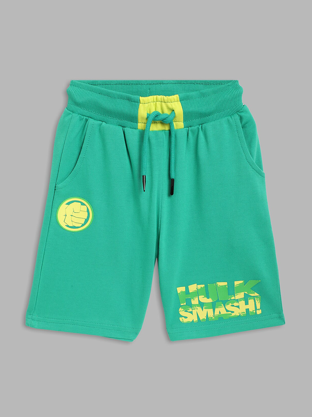 Buy Blue Giraffe Boys Multicoloured Hulk Shorts - Shorts for Boys ...
