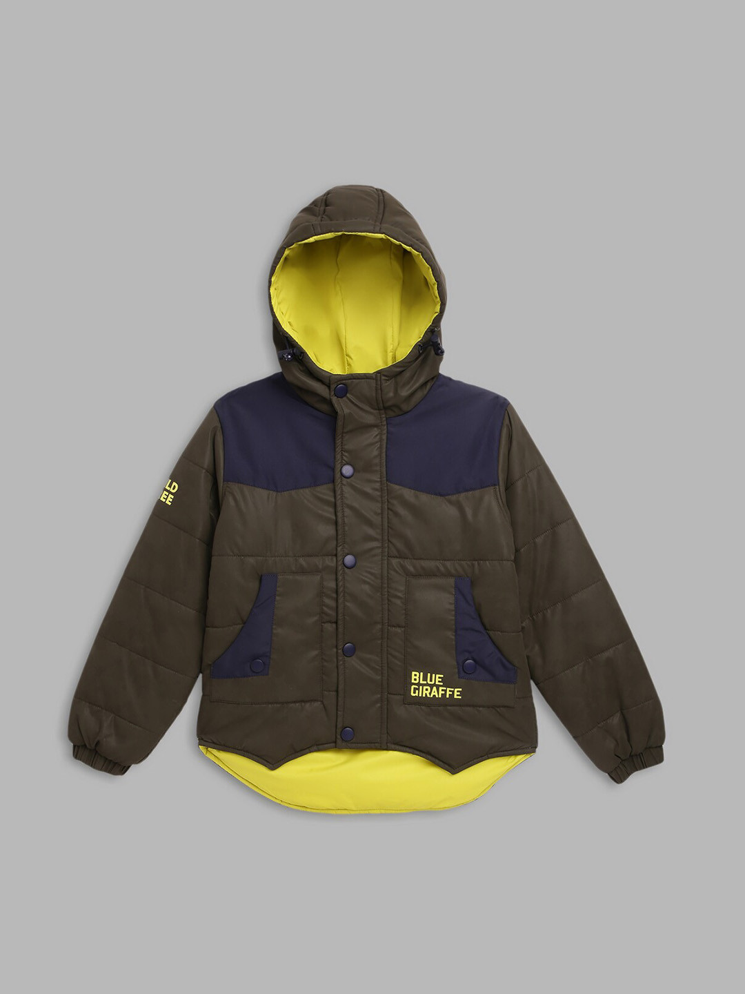 Buy Blue Giraffe Boys Olive Green After Dark Colourblocked Crop Padded ...