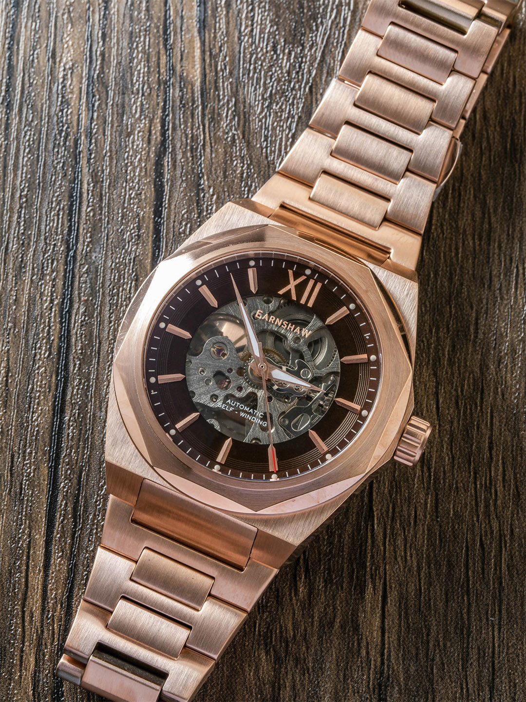 Buy EARNSHAW Men Brown Clark Skeleton Automatic Brown Round Dial Watch ...