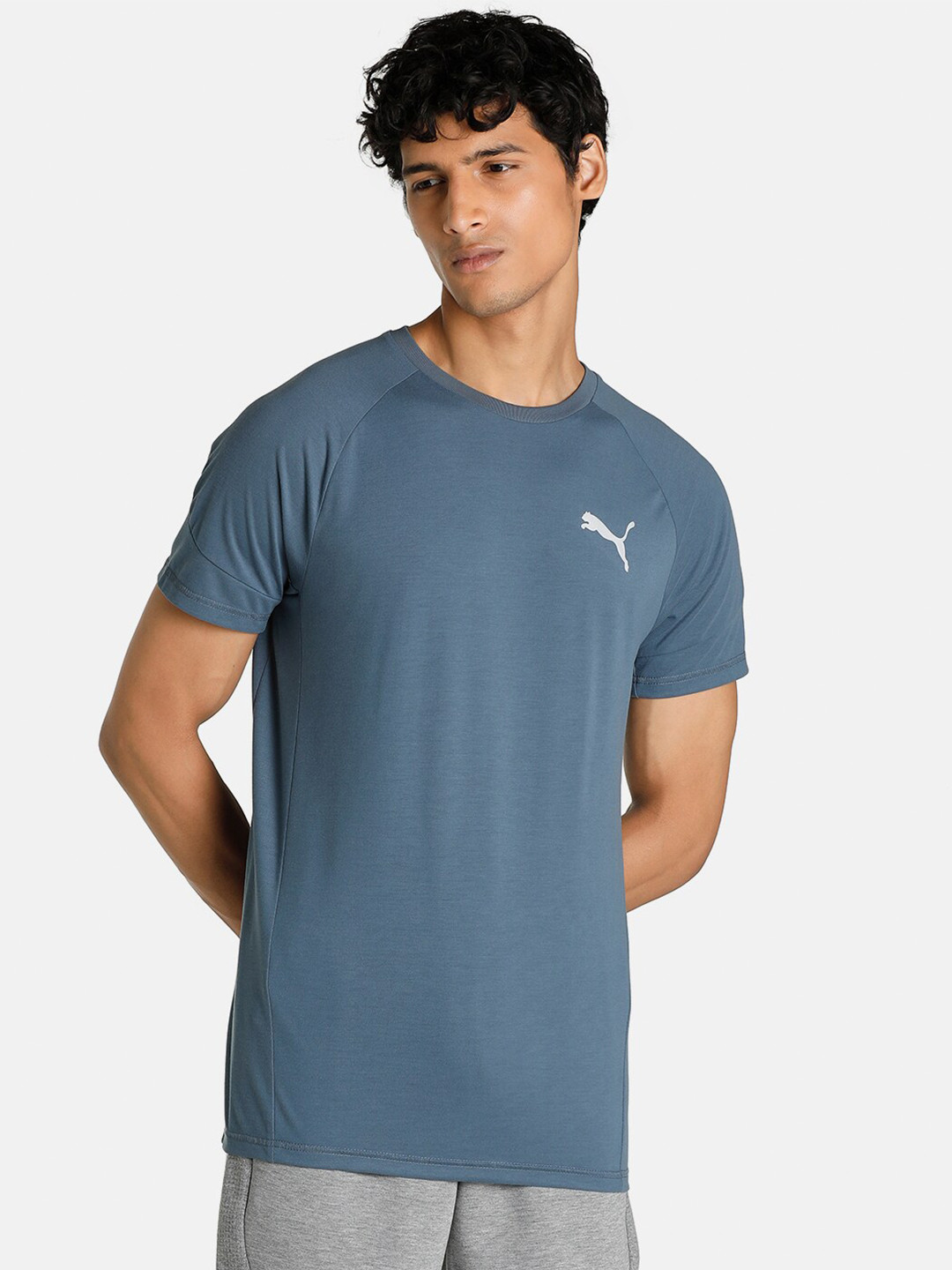 Buy Puma Men Grey Evostripe T Shirt - Tshirts for Men 19194196 | Myntra