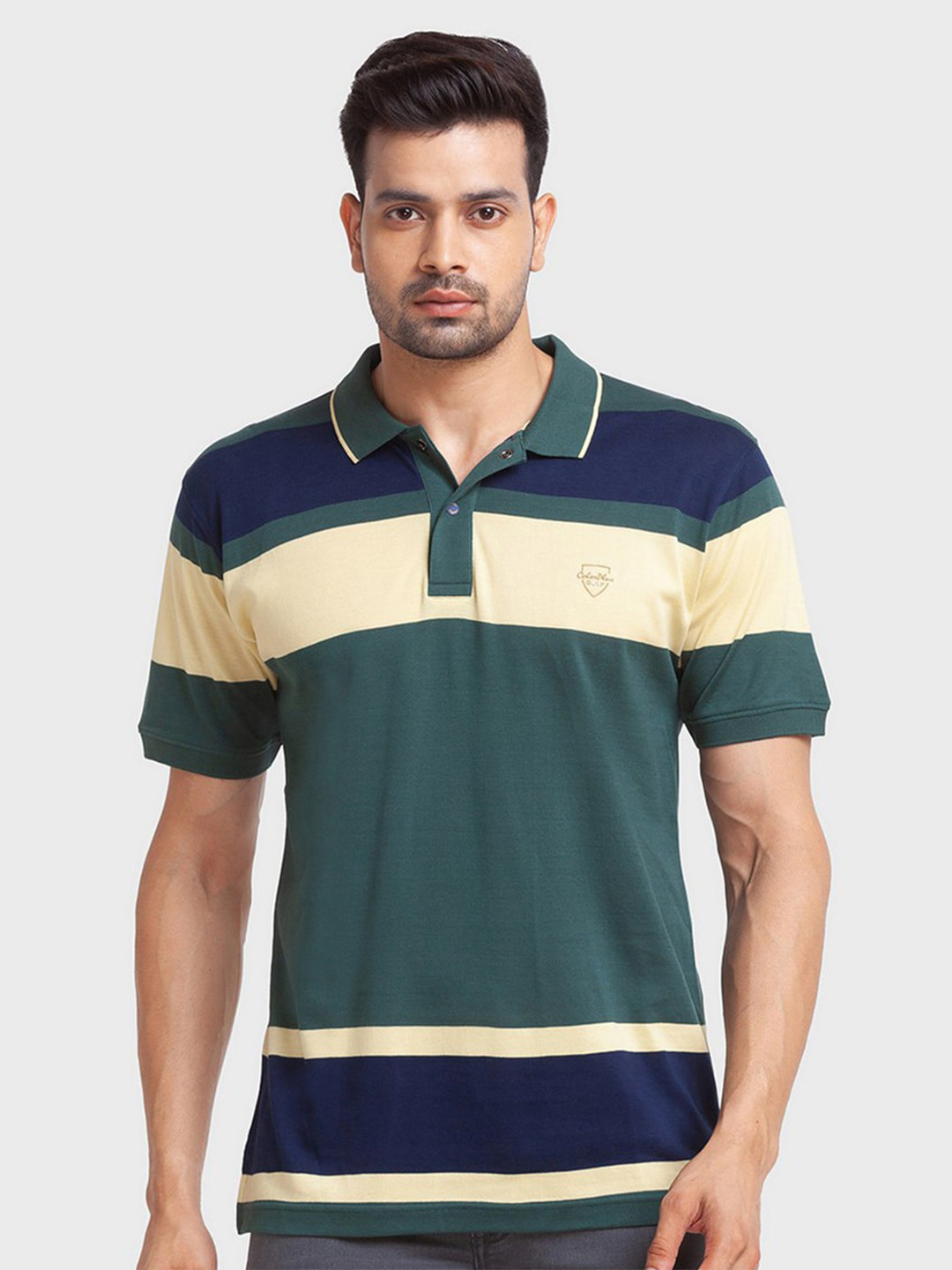 Buy ColorPlus Men Green Striped Polo Collar Organic Cotton Slim Fit T ...