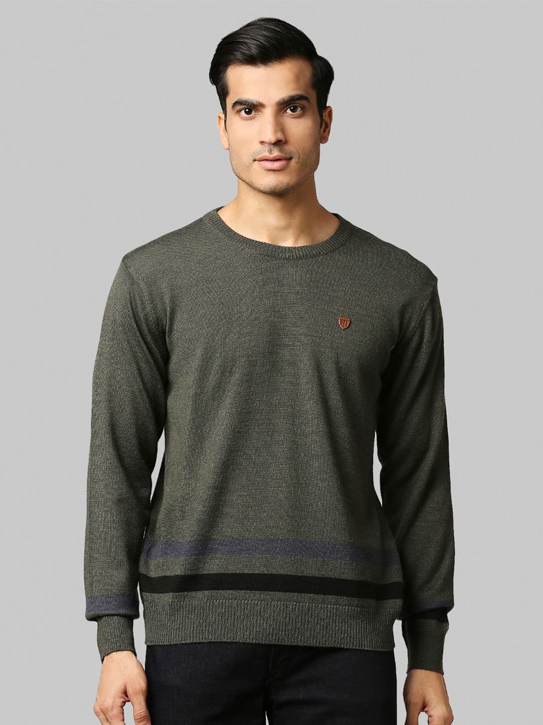 Buy Raymond Striped Round Neck Pullover Sweaters For Men 19579630