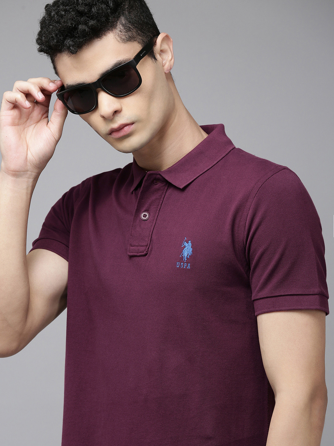 Buy U.S. Polo Assn. Men Purple Solid Polo Collar Pure Cotton Slim Fit T Shirt - Tshirts for Men ...