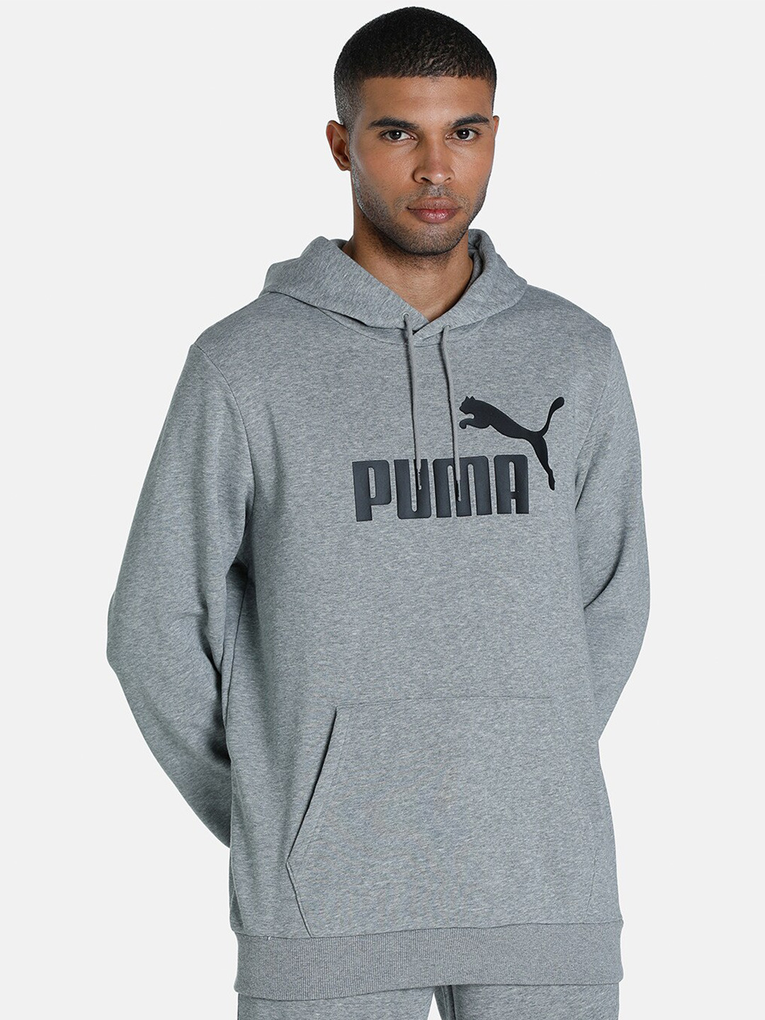 Buy Puma Men Grey Essential Big Logo Regular Fit Hoodie Sweatshirt ...