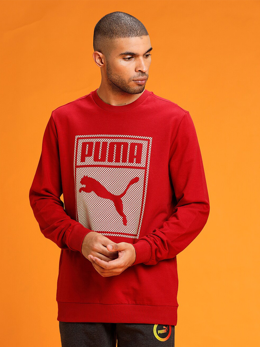 Buy Puma Men Red Graphic Crew Printed Cotton Regular Fit Sweatshirt ...