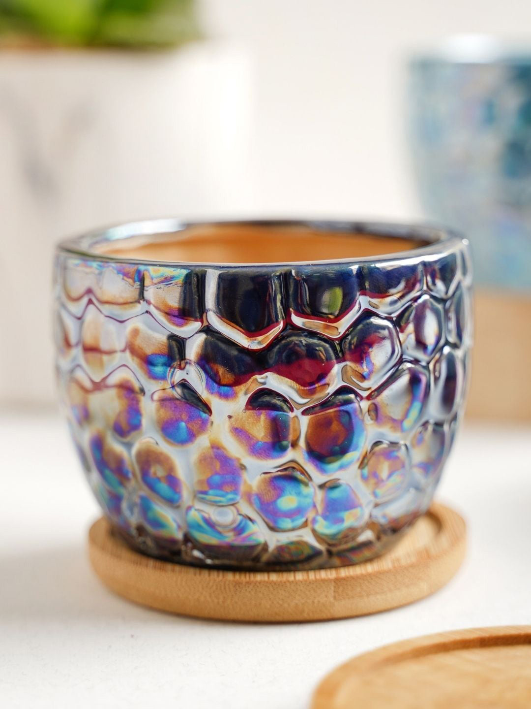 Buy Nestasia Blue Succulent Pot With Coaster - Planters for Unisex ...