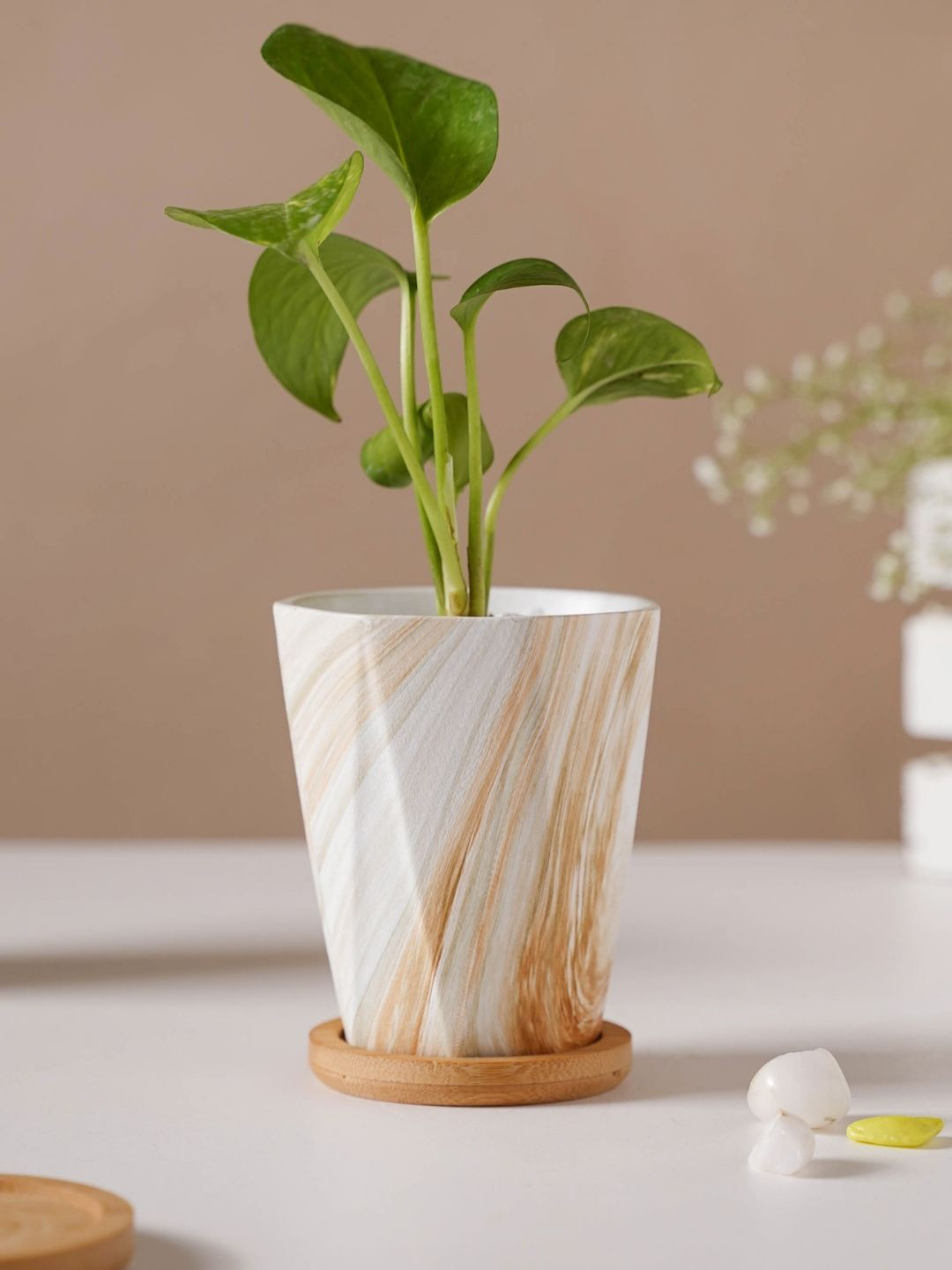 Buy Nestasia White & Brown Textured Planters - Planters for Unisex ...