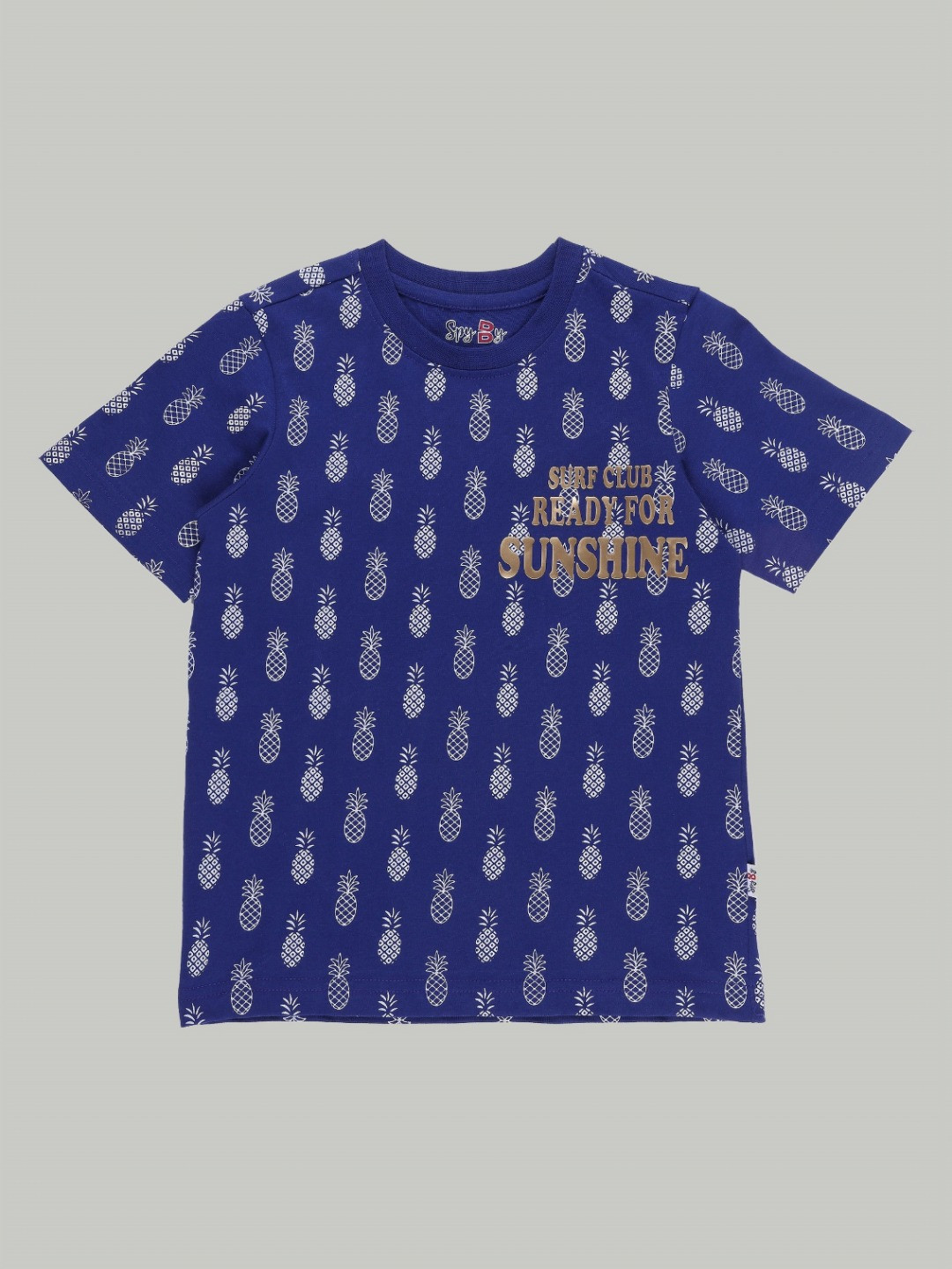 Buy SPYBY Boys Conversational Printed Round Neck Cotton T Shirt ...
