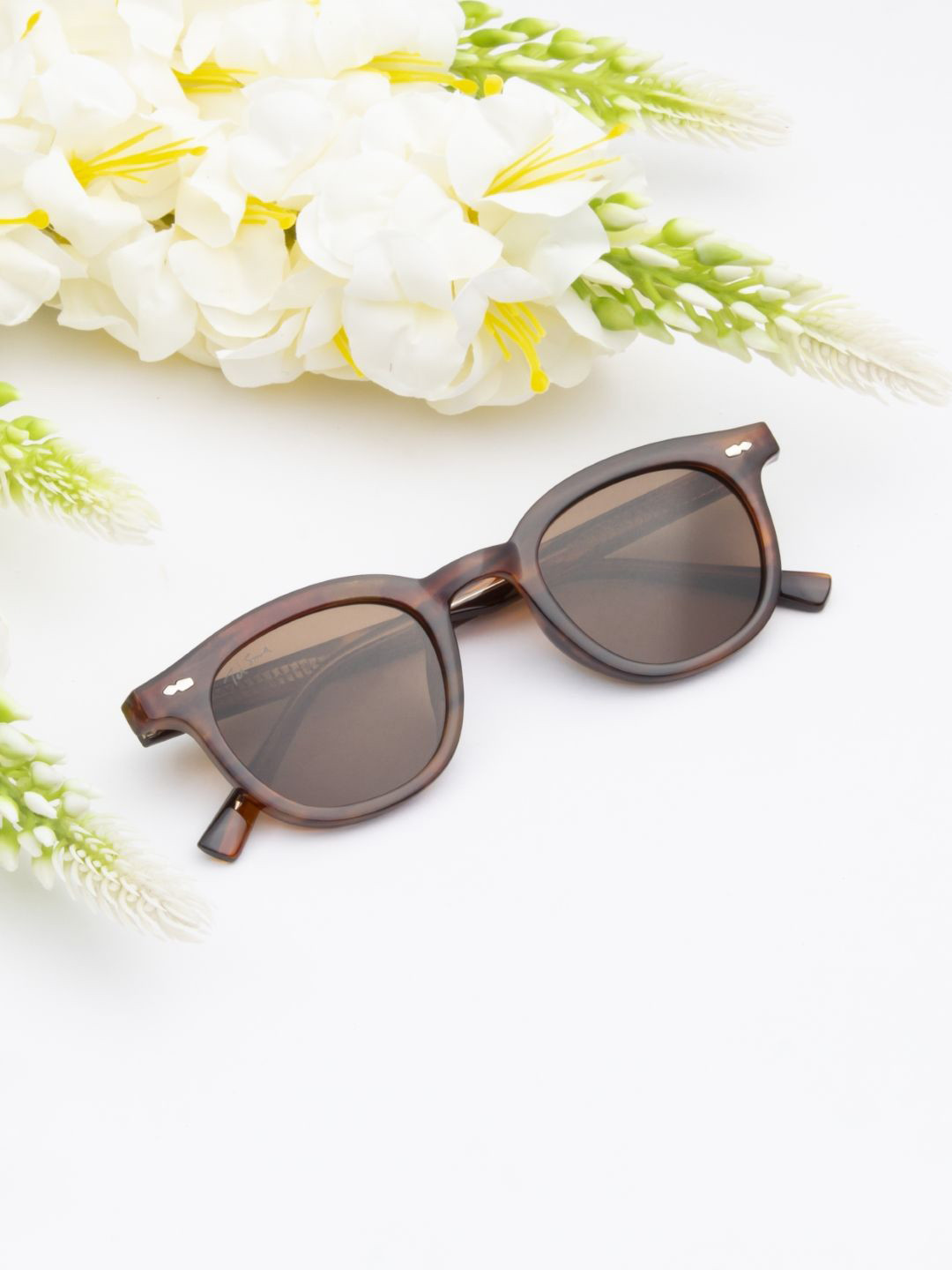 Buy Ted Smith Unisex Wayfarer Sunglasses With UV Protected Lens GLANCE ...