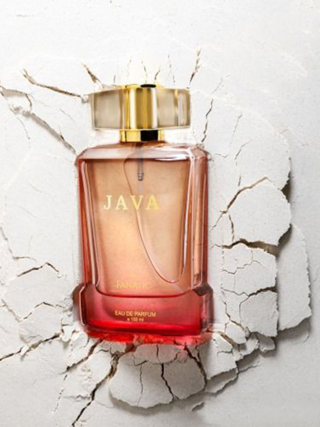 Buy FANATIC Java Eau De Perfume 100 Ml - Perfume for Unisex 31457229 ...