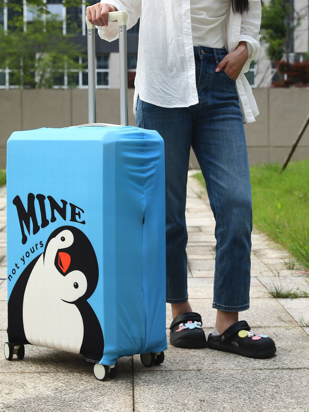 Buy HOKIPO Graphic Waddling Penguin Printed Medium Trolley Suitcase ...