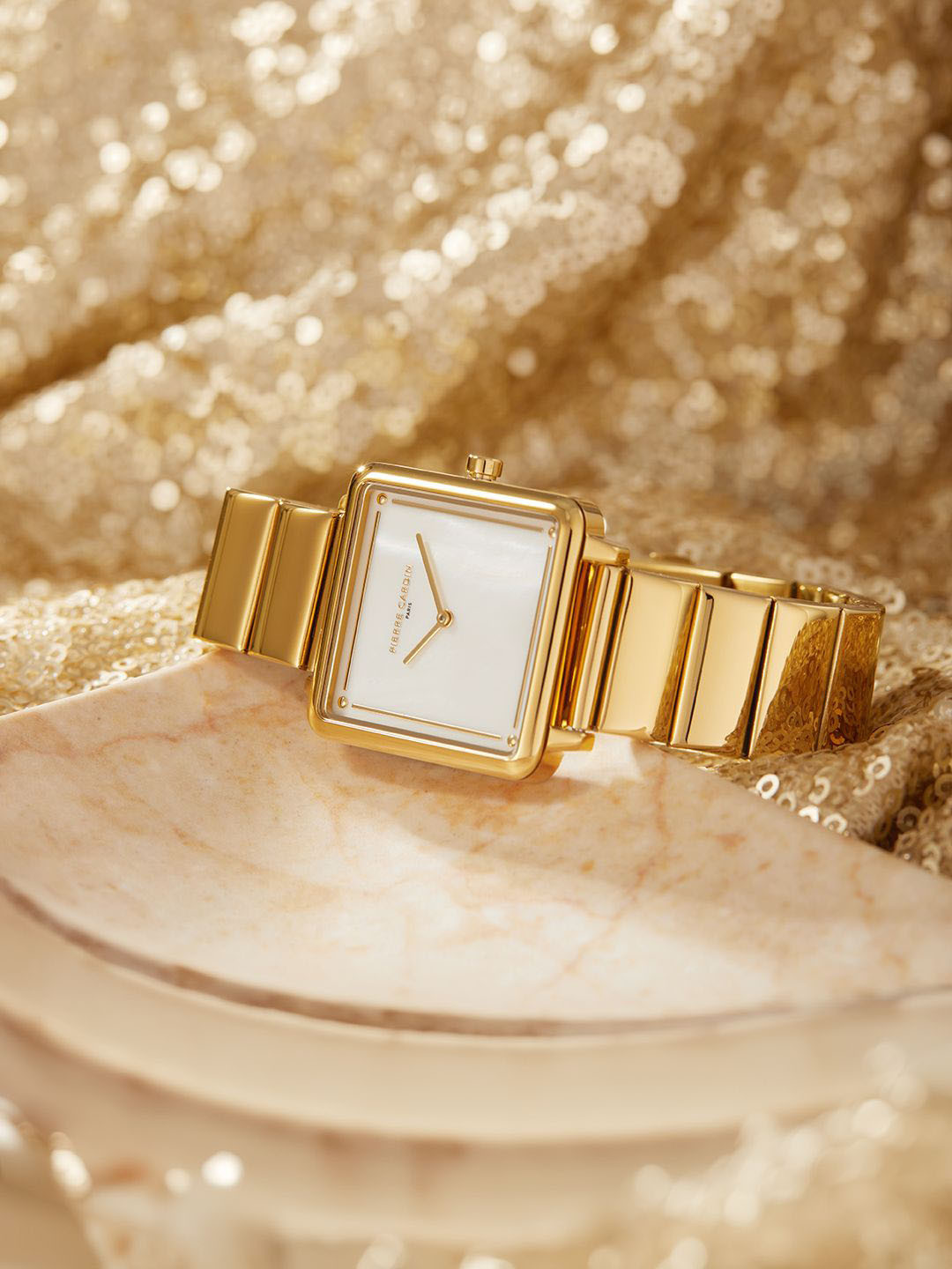 Buy Pierre Cardin Women Dial & Stainless Steel Straps Analogue Watch ...