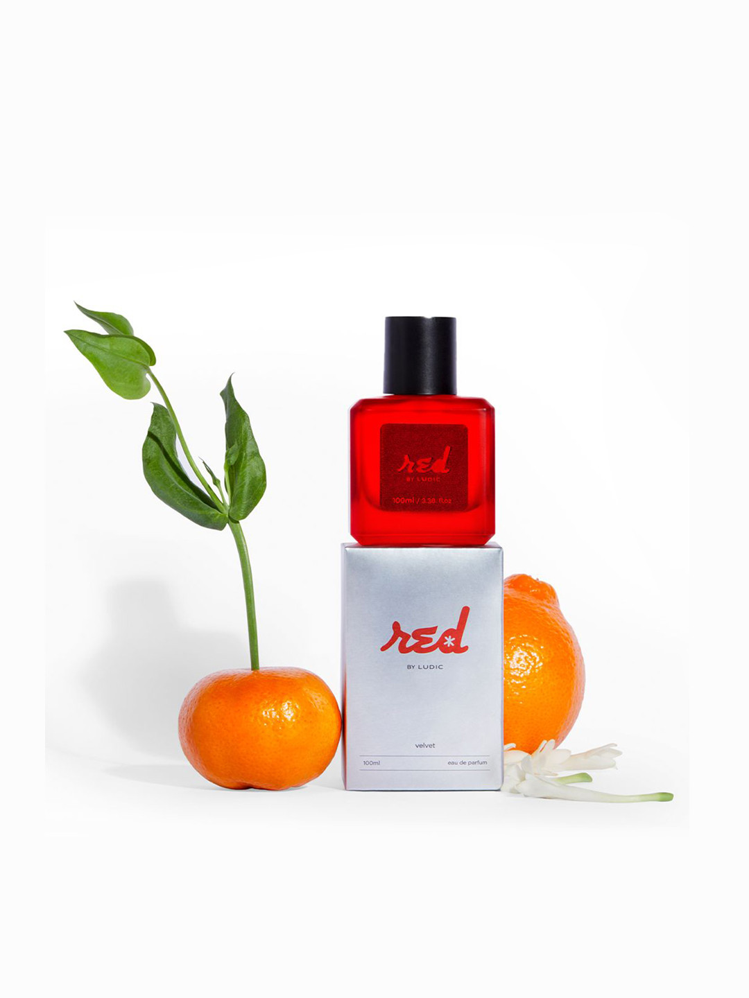 Buy Ludic Red Women Velvet Eau De Parfum 100ml - Perfume for Women ...