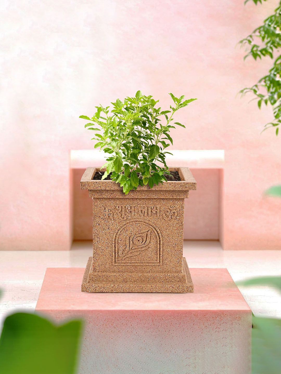 Buy Kuber Industries Beige Tulsi Mancha Gamla Planter - Planters for ...