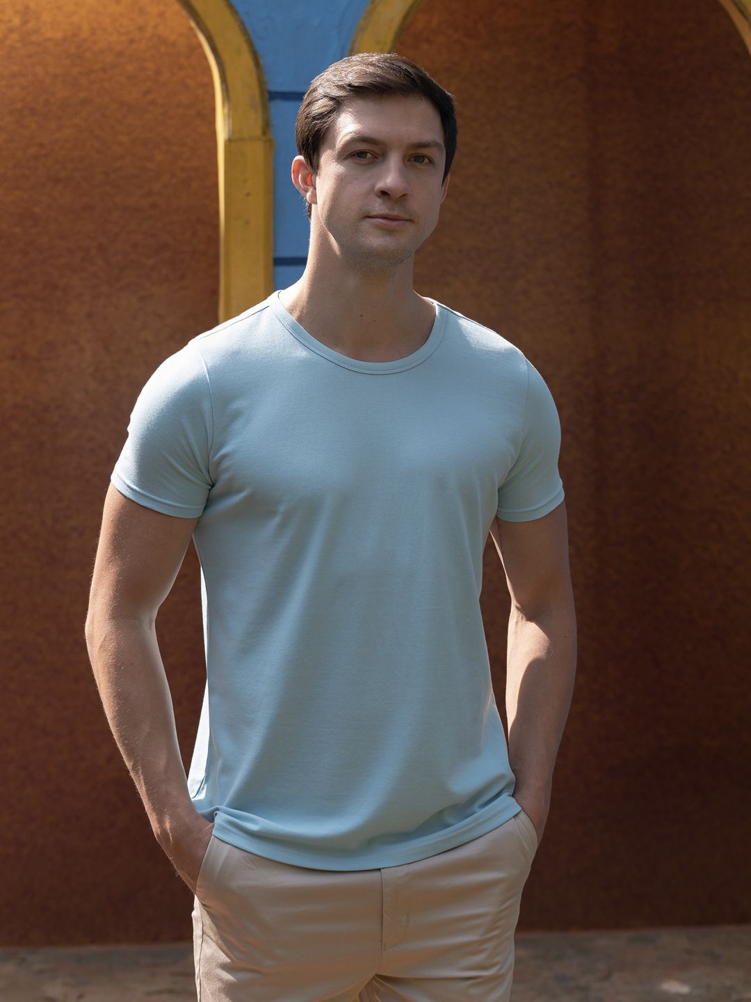 Buy ARISTOBRAT Men Solid Round Neck Cotton T Shirt - Tshirts for Men ...