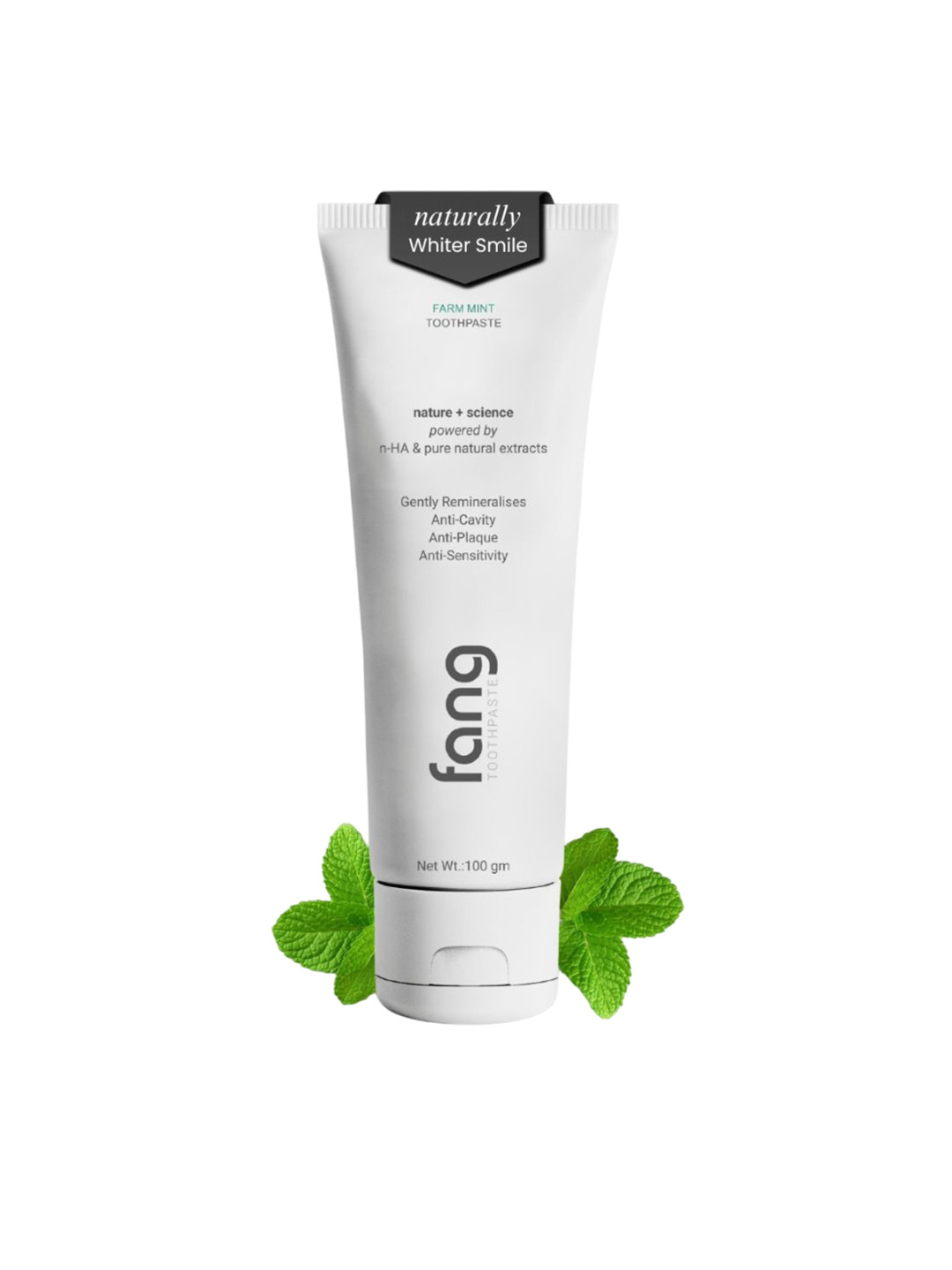 Buy Fang Farm Mint Natural Toothpaste 100 G - Toothpaste And Tooth ...