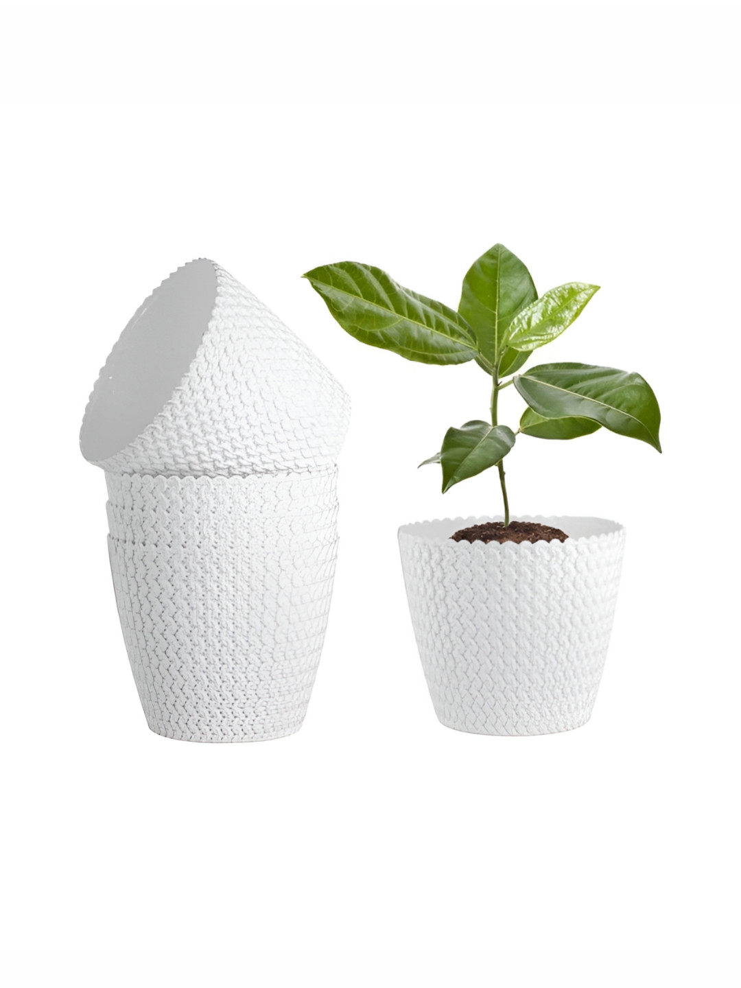 Buy GARDEN'S NEED White 5 Pieces Textured Planters - Planters for ...