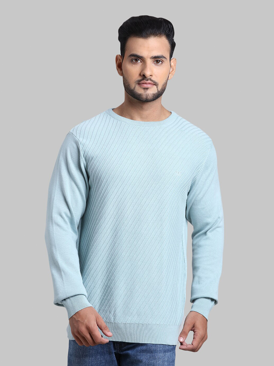 Buy ColorPlus Men Blue Pullover - Sweaters for Men 20266226 | Myntra