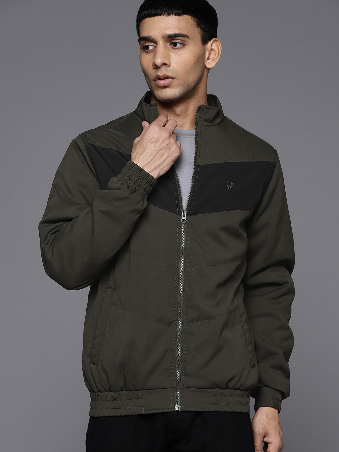 Buy Allen Solly Men Olive Green & Black Striped Padded Jacket - Jackets ...