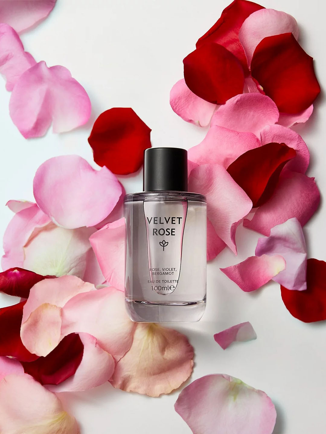 Buy Marks & Spencer Velvet Rose Eau De Toilette 100ml - Perfume for ...