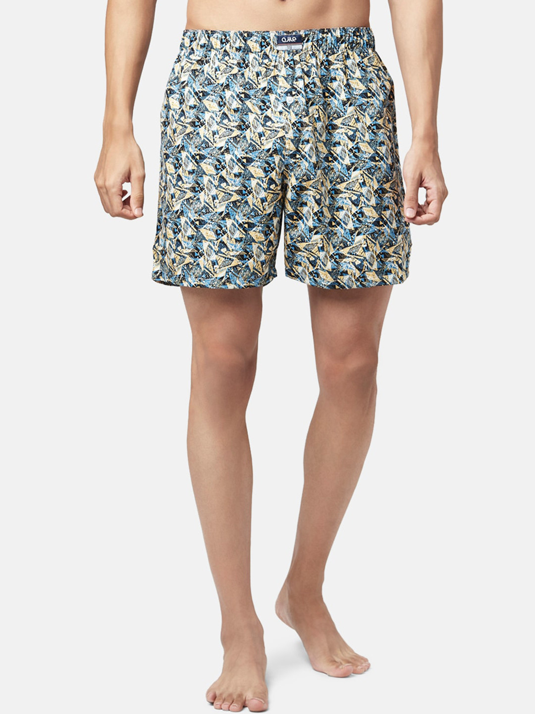 Buy Ajile By Pantaloons Men Blue Printed Pure Cotton Boxers - Boxers ...