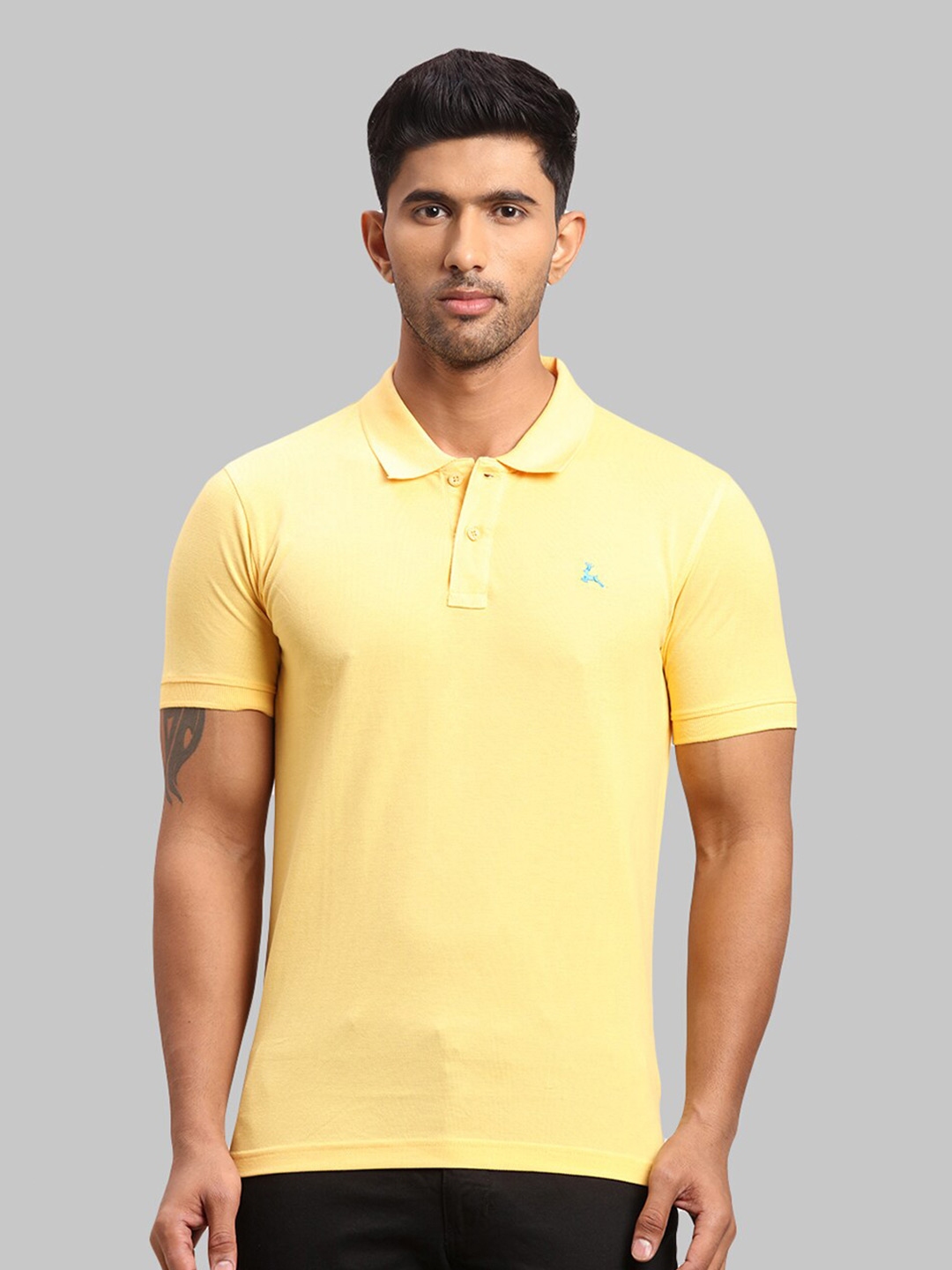 Buy Parx Men Polo Collar Cotton T Shirt Tshirts For Men 21075044 Myntra