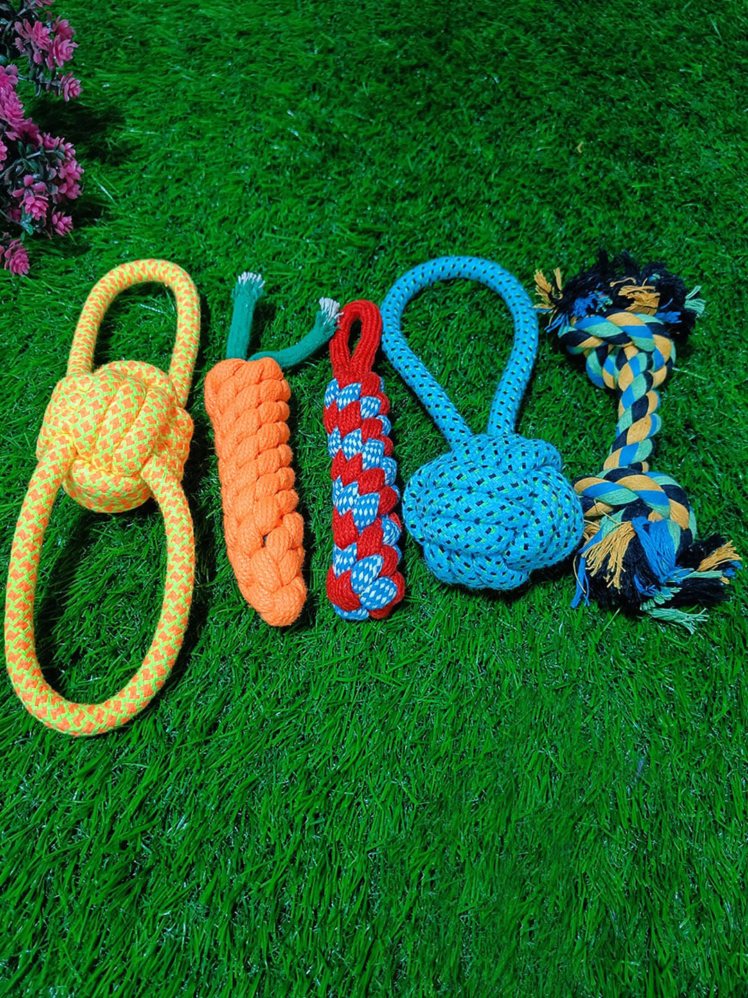 Buy Emily Pets Set Of 5 Chew Rope Pet Toy - Pet Toys for Unisex Kids ...