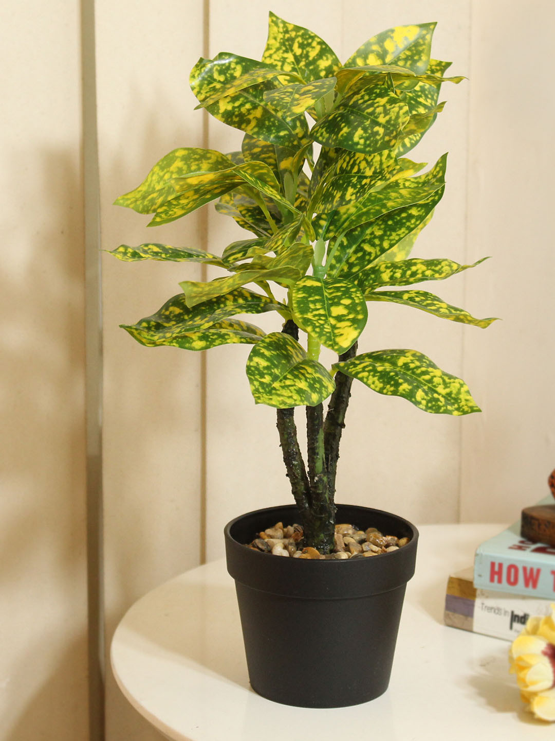 Buy TIED RIBBONS Green & Yellow Croton Artificial Plant With Pot ...