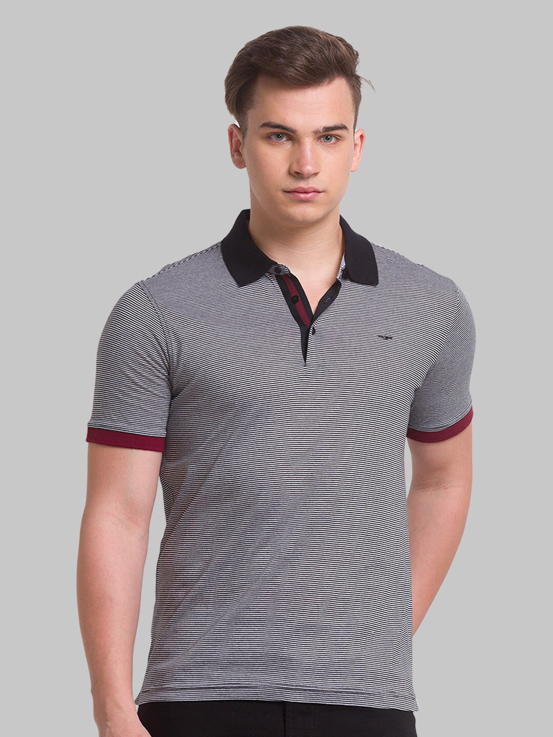 Buy Park Avenue Men Striped Cotton Polo Collar Slim Fit T Shirt ...