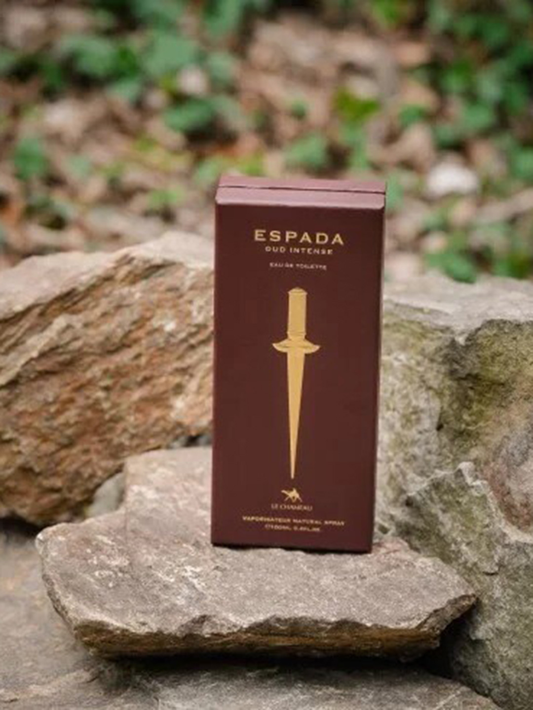 Buy LE CHAMEAU Men Espada Oud Intense Eau De Parfum 100 Ml - Perfume ...