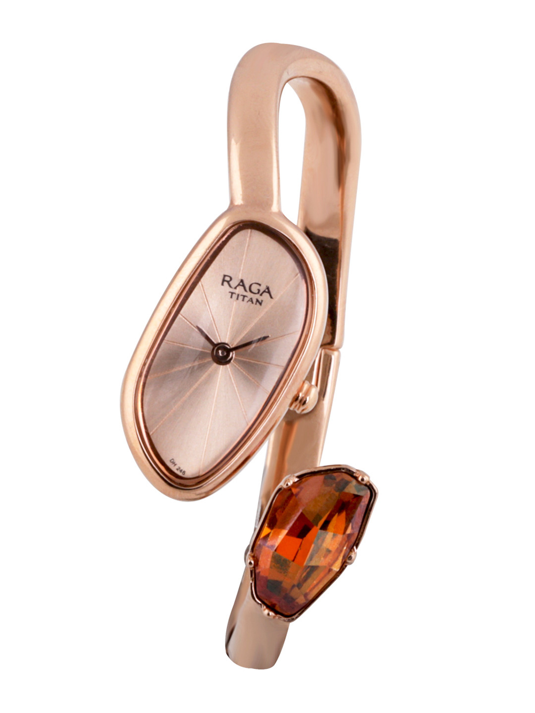Buy Titan Raga Women Rose Gold Toned Analogue Watch 95055WM01F ...