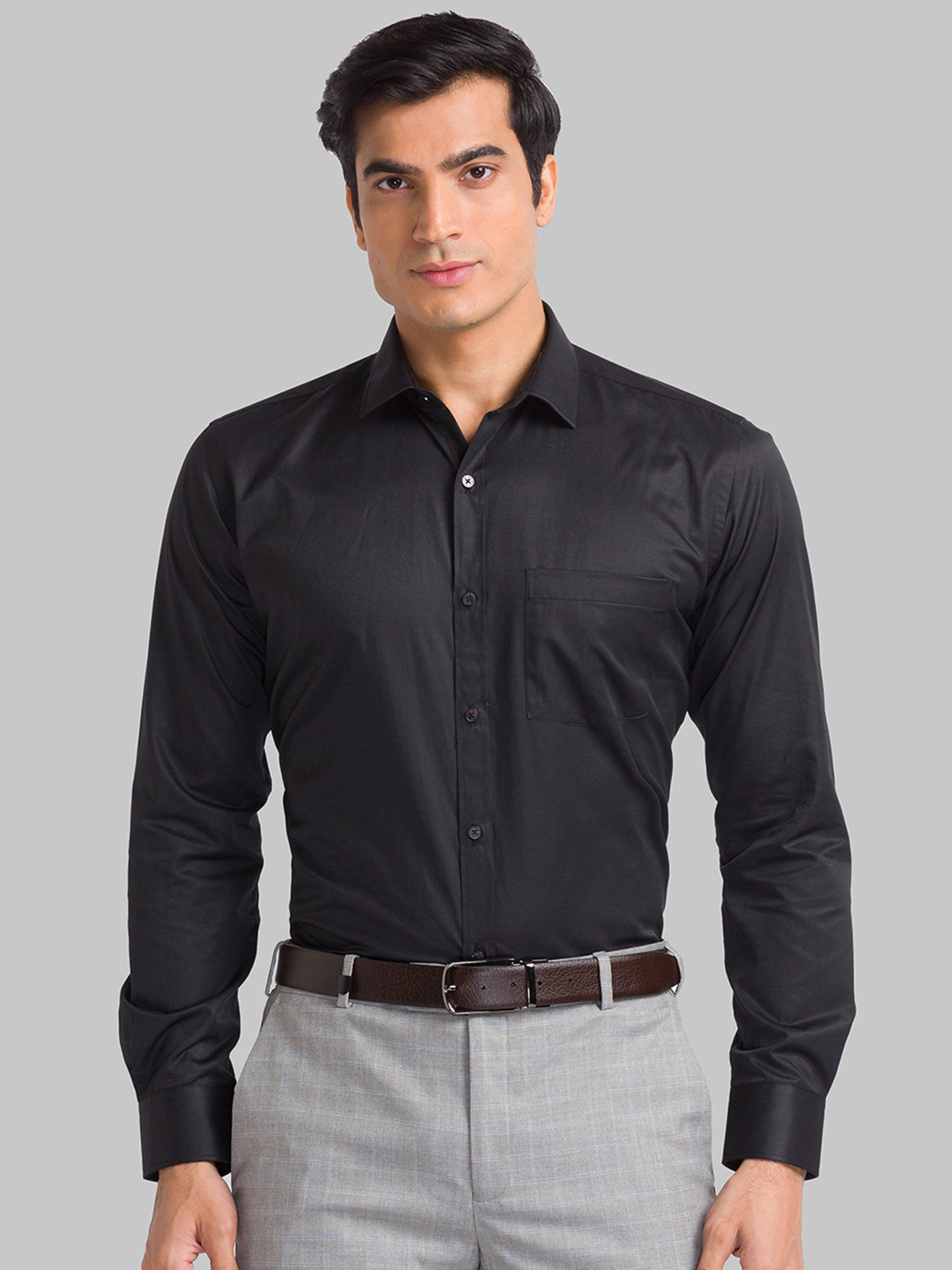 Buy Park Avenue Long Sleeves Slim Fit Formal Shirt - Shirts for Men ...