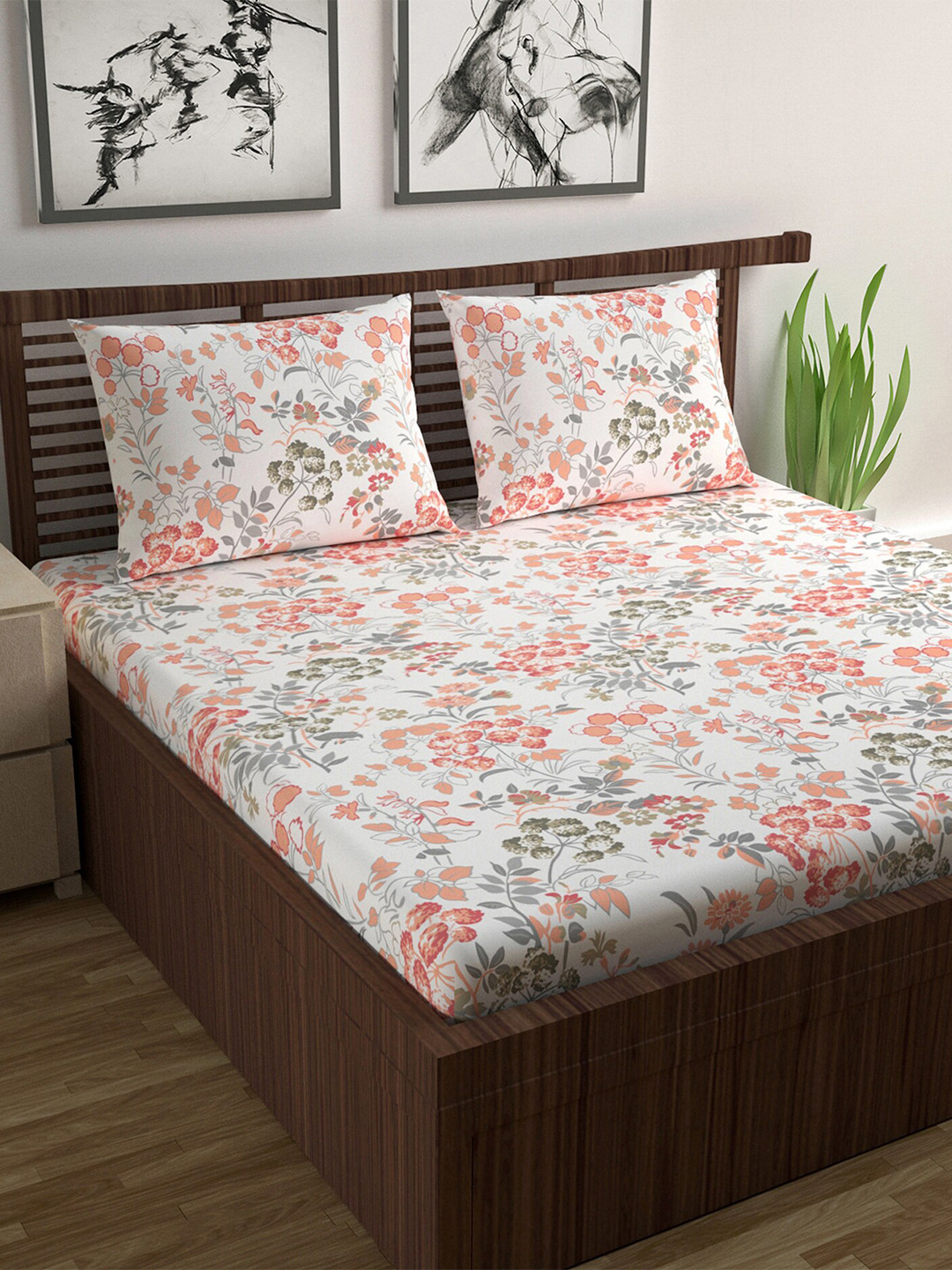 Buy Divine Casa Punch Peach Coloured 100% Cotton 144 TC Double Bedsheet ...