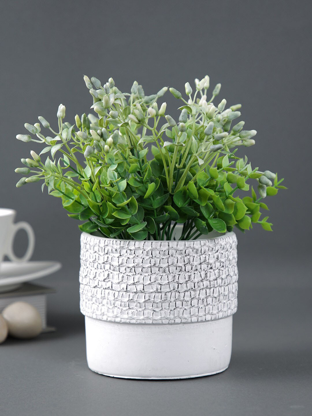 Buy TAYHAA White & Black Textured Ceramic Planter - Planters for Unisex ...