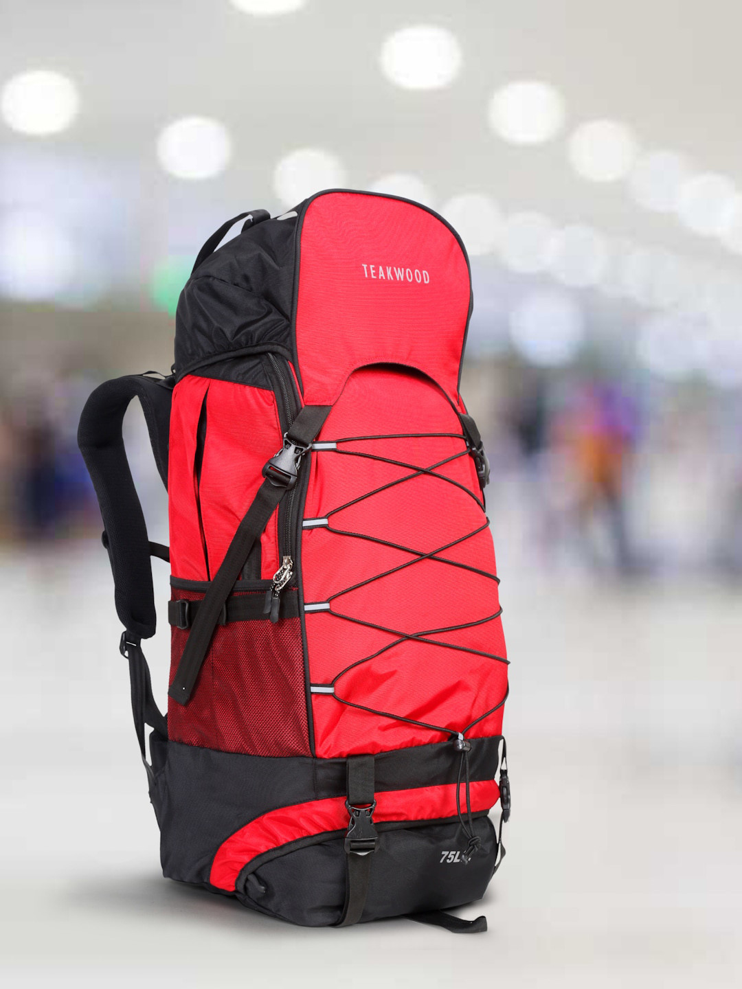 Buy Teakwood Leathers Color Blocked Durable Rucksack - Rucksacks for ...