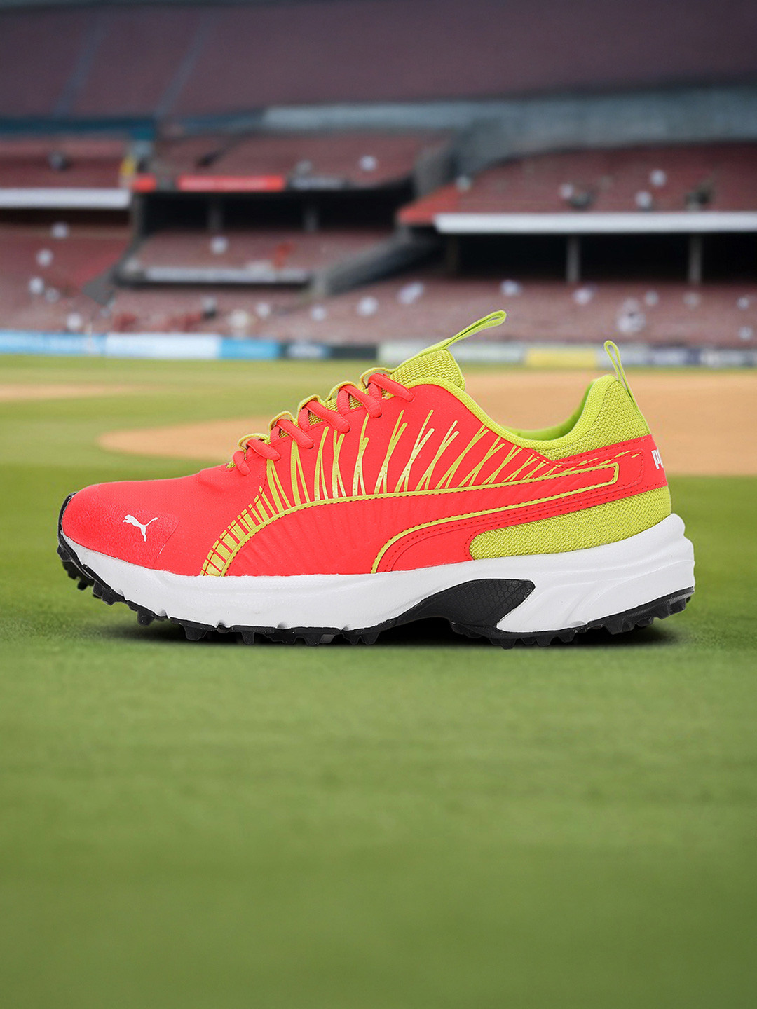 Buy Puma Cricket Square Men Shoes - Sports Shoes for Men 23258470 | Myntra