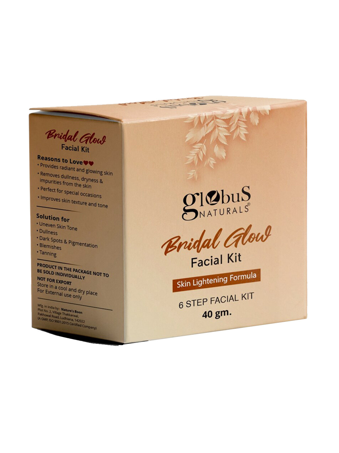 Buy Globus Naturals Bridal Glow 6 Steps Facial Kit With Skin Lightening ...