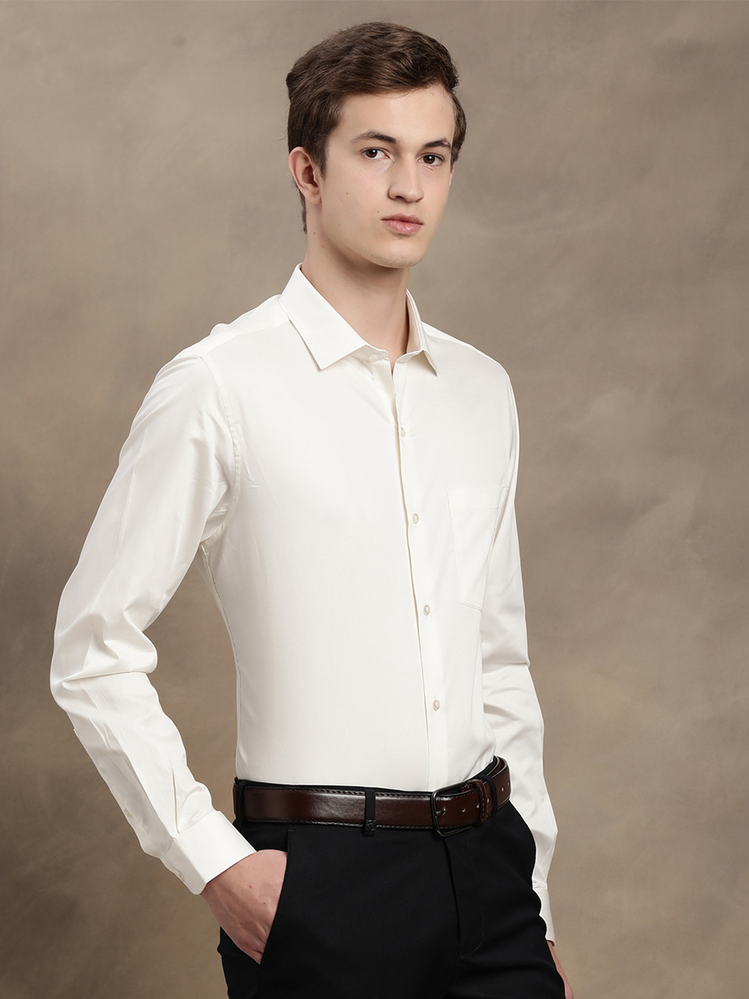 Buy Turtle Modern Slim Fit Opaque Cotton Formal Shirt - Shirts for Men ...